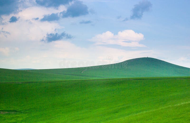 Pradera verde foto de archivo. Imagen de paisaje, verde - 12241800
