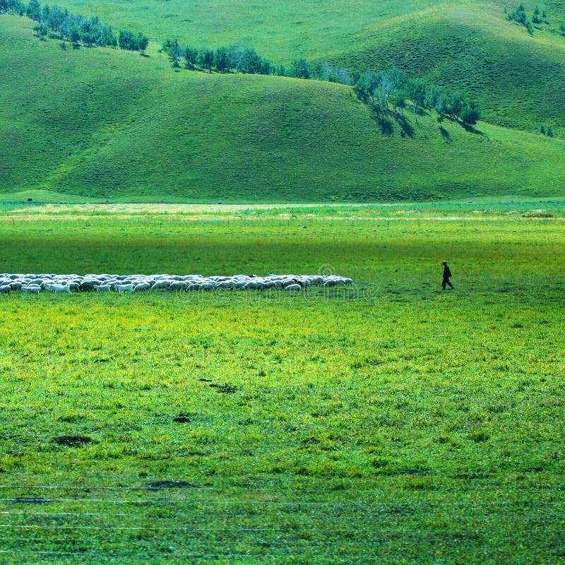 Prado imagen de archivo. Imagen de llano, cubo, pastizales - 17348819