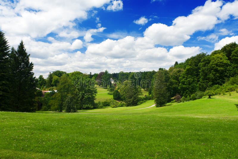 Prado imagen de archivo. Imagen de prado, cielo, bosque - 28569771