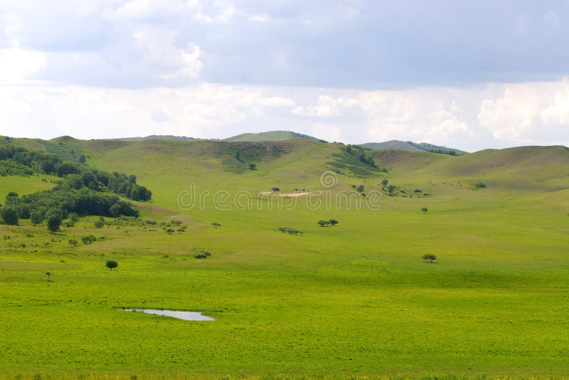 Prado imagen de archivo. Imagen de prado, recorrido, verde - 3895145