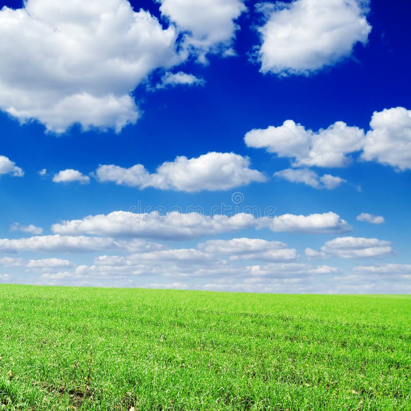 Prado imagen de archivo. Imagen de prado, hierba, afuera - 4835543