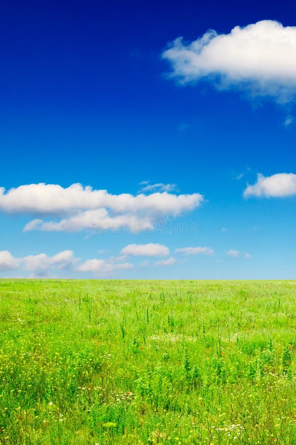 Prado foto de archivo. Imagen de azul, campos, afuera - 6286066