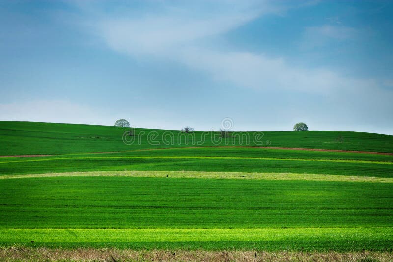 Prado imagen de archivo. Imagen de prado, campos, exterior - 69652313