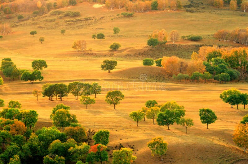 Prado imagen de archivo. Imagen de sunset, recorrido, rico - 6980377