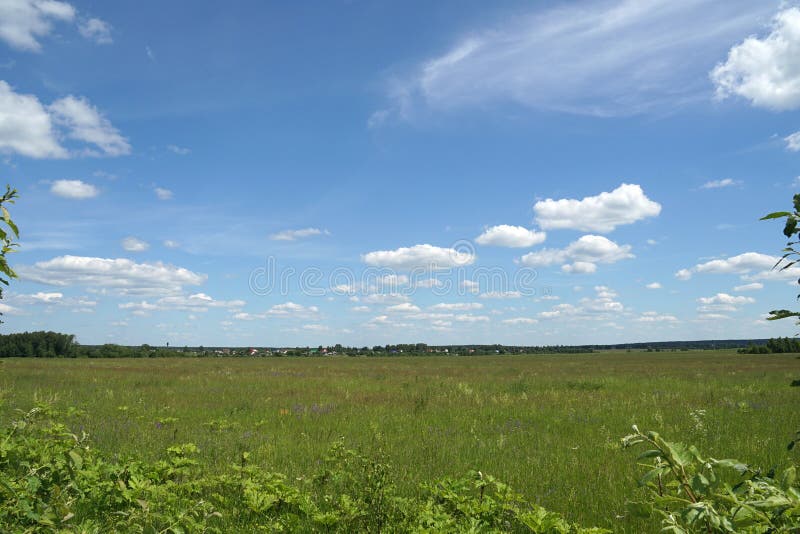 Prado imagem de stock. Imagem de prado - 73340239