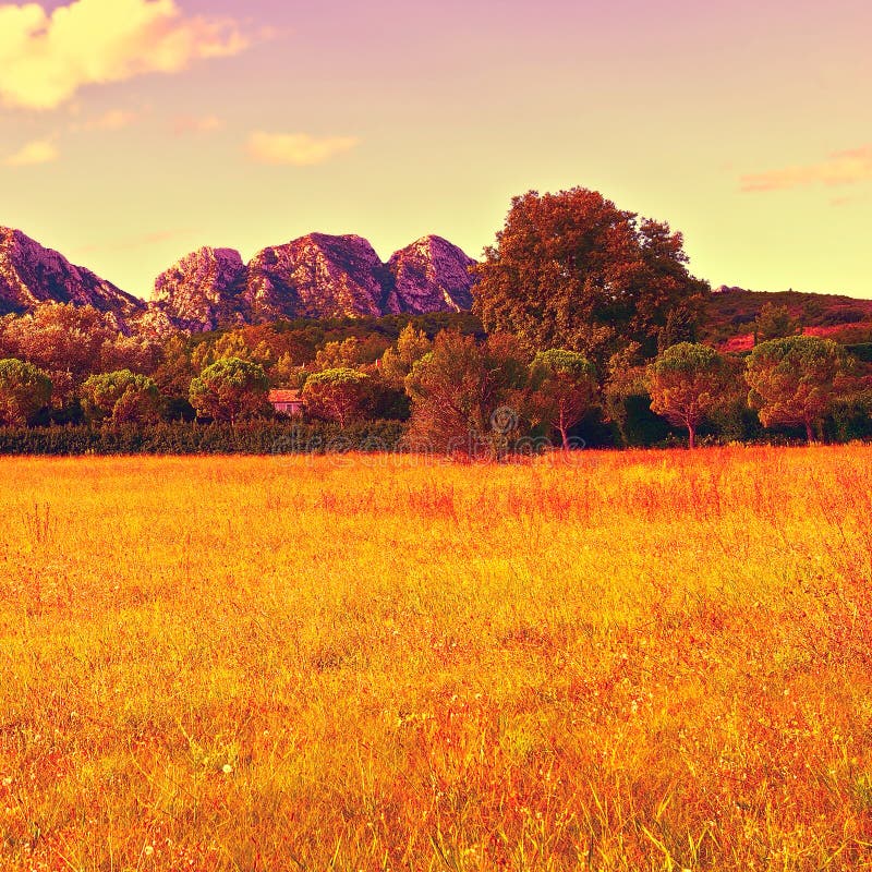 Prado imagen de archivo. Imagen de bosque, paisaje, cosecha - 88322401