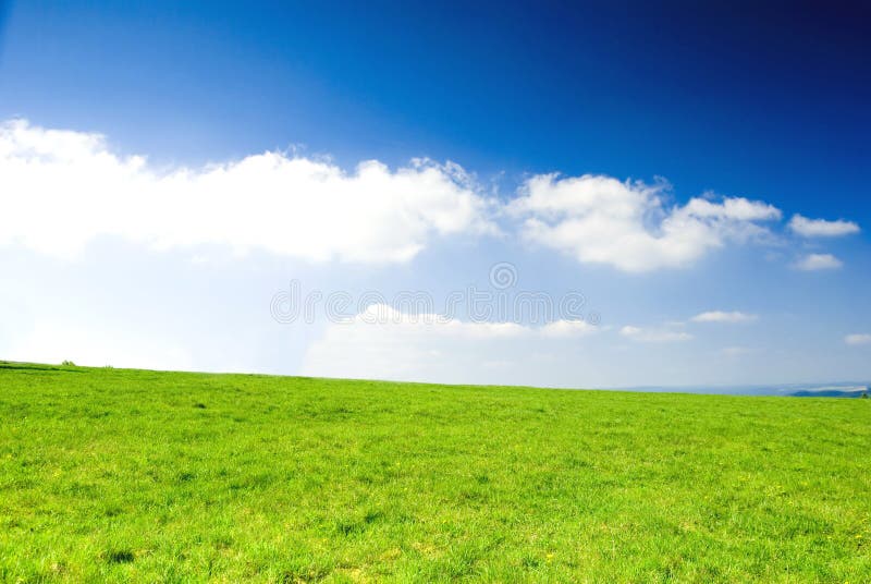 Prado Con El Cielo Claro Azul. Foto de archivo - Imagen de prado ...