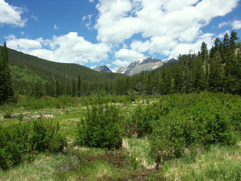 Prado de Colorado foto de archivo. Imagen de colorado - 17047556