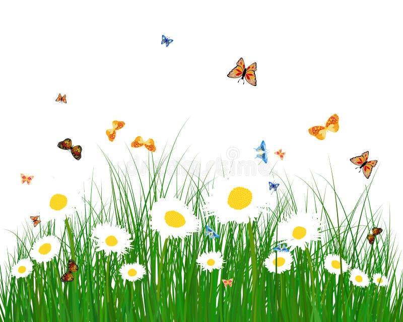 Color del prado ilustración del vector. Ilustración de cierre - 55771244