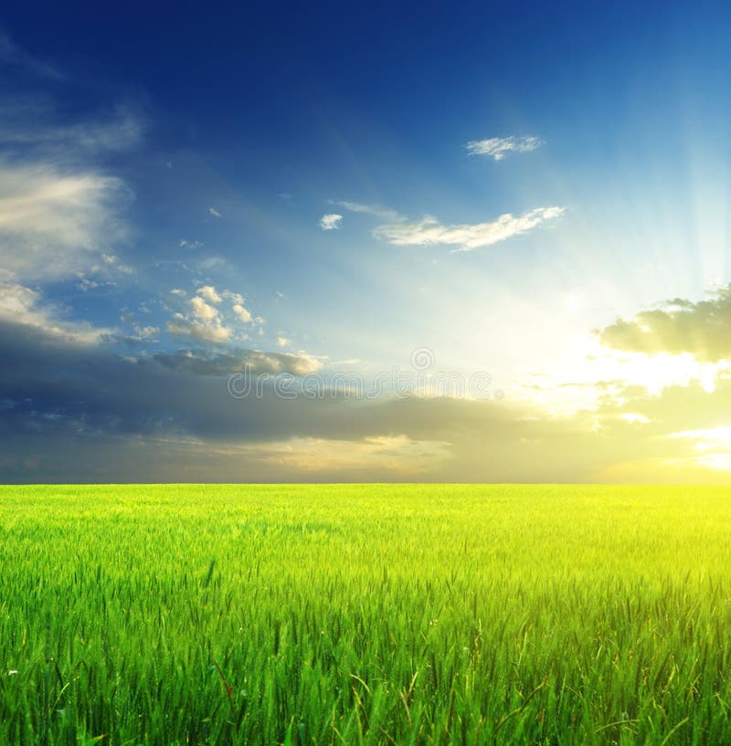 Prado verde imagen de archivo. Imagen de agricultura - 17576949