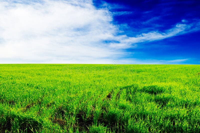 Prado imagen de archivo. Imagen de prado, hierba, afuera - 4835543