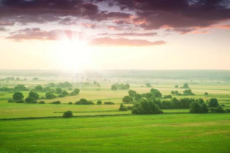 Prado verde foto de archivo. Imagen de cubo, flores, asoleado - 93864230