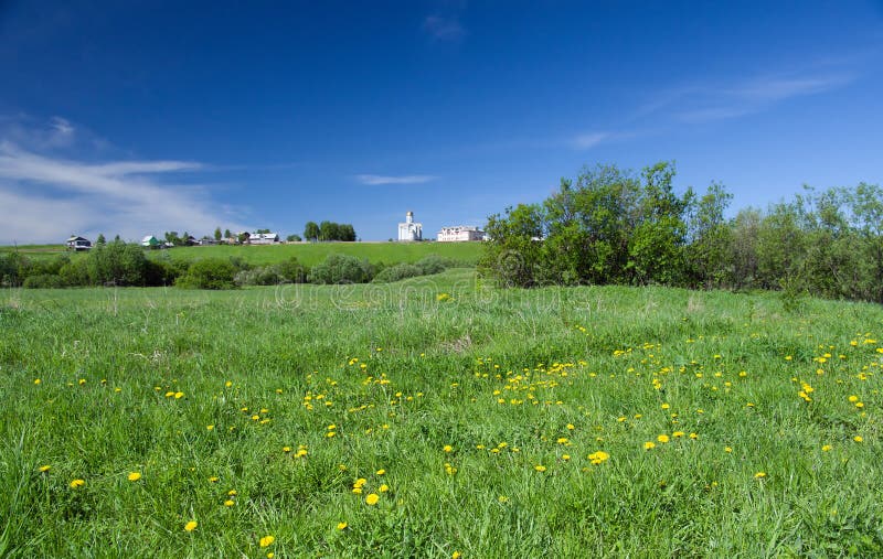 Prado verde hermoso foto de archivo. Imagen de colores - 14608232