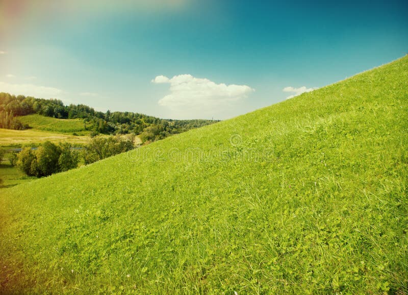 Prado verde hermoso foto de archivo. Imagen de colores - 14608232