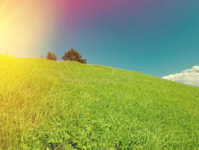 Prado verde hermoso foto de archivo. Imagen de colores - 14608232