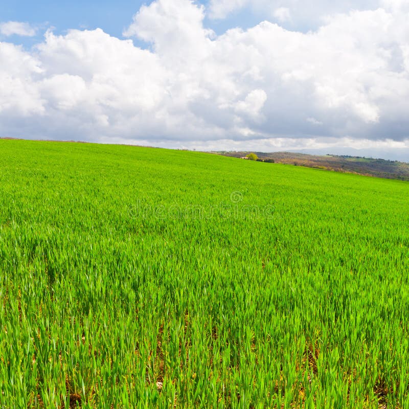 Prados foto de archivo. Imagen de verde, cortijo, tierra - 72093256