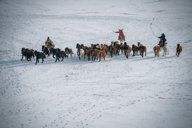 Prados De Ulan Buh En Invierno Imagen editorial - Imagen de tundra ...