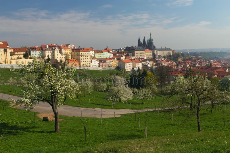 Prague castle in spring stock image. Image of journey - 19241499