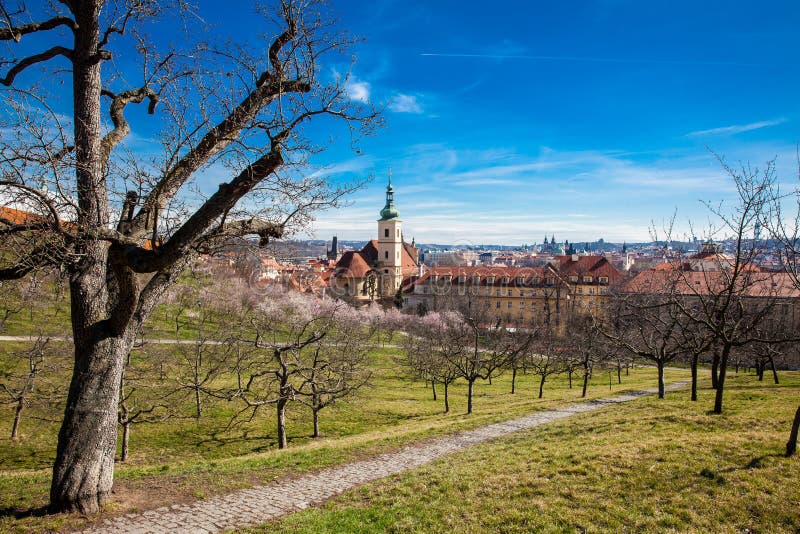 Prague City Seen from the Petrin Gardens Stock Photo - Image of nature ...