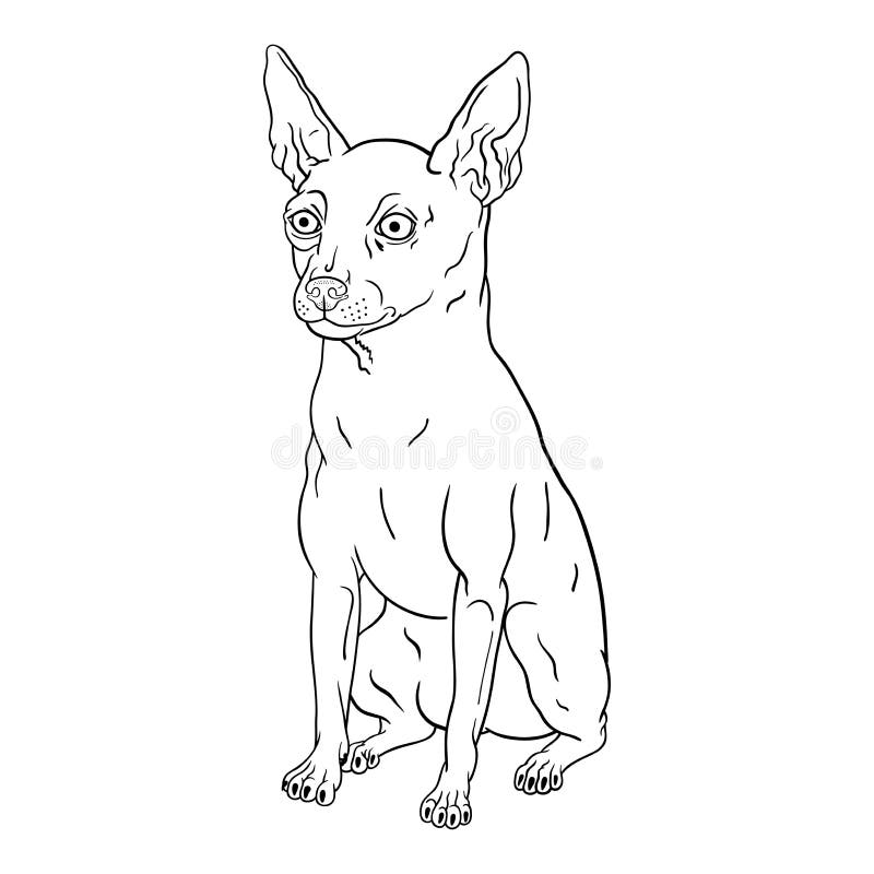 Prague ratter stock vector. Illustration of country, krysarik - 66405888