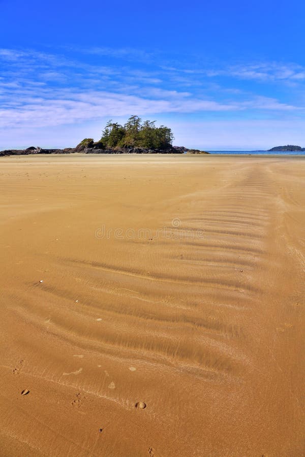 Praia Arenosa Enorme Em Um Meio-dia Foto de Stock - Imagem de cena ...