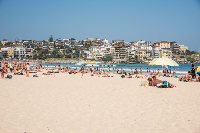 Praia De Bondi: Sun E Abrandamento Foto Editorial - Imagem de banhistas, adulto: 101137771
