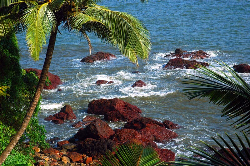 Praias de Goa em India imagem de stock editorial. Imagem de exterior ...