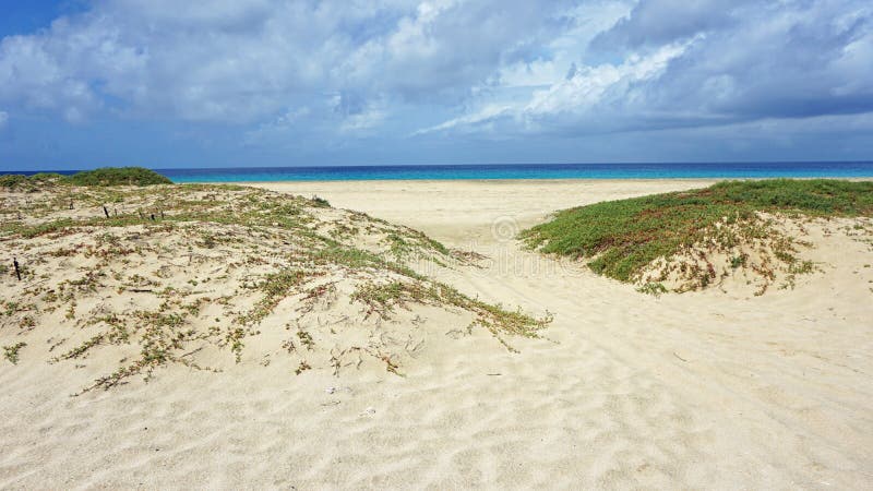 Praia de Santa Maria foto de stock. Imagem de verde, curso - 78169050