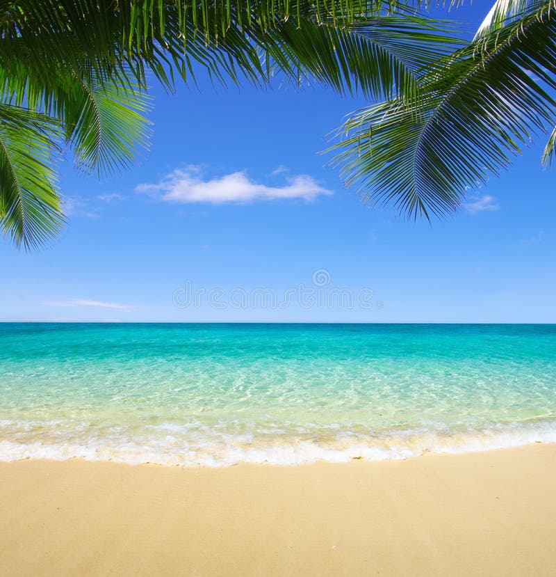 Praia e mar tropical foto de stock. Imagem de relaxe - 24704856