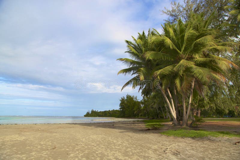 Praia, Porto Rico imagem de stock. Imagem de paisagem - 44086063