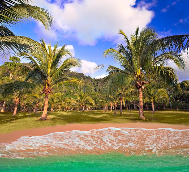 Praia tropical foto de stock. Imagem de azul, férias - 10289134