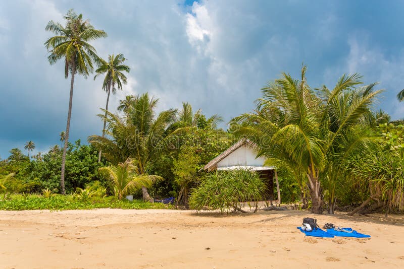 Praia tropical imagem de stock. Imagem de cadeira, propriedade - 32611257