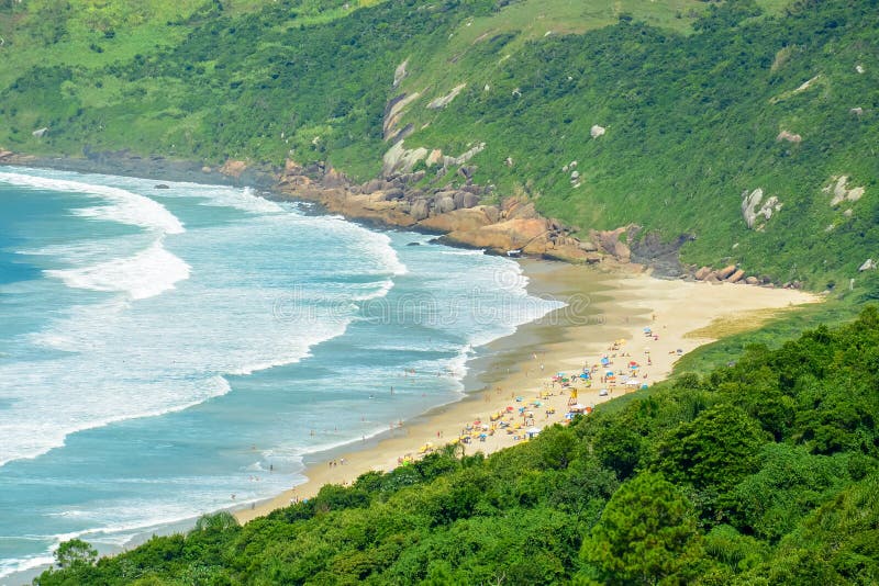 Praia Tropical foto de stock. Imagem de limpar, brasil - 71018198