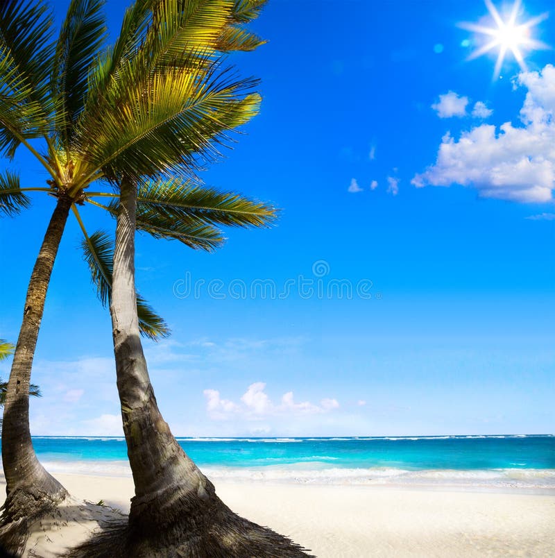 Praia Tropical De Art Untouched Caribbean Foto de Stock - Imagem de ...