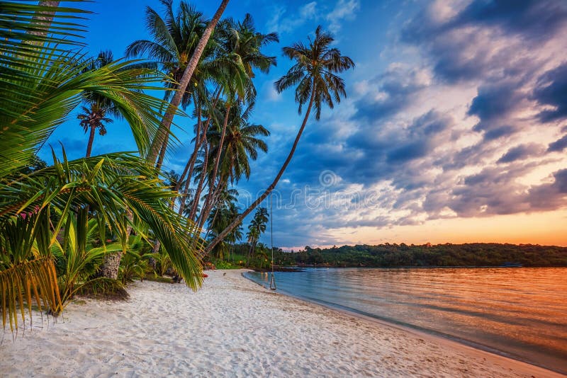 Praia Tropical No Por Do Sol. Imagem de Stock - Imagem de ouro ...
