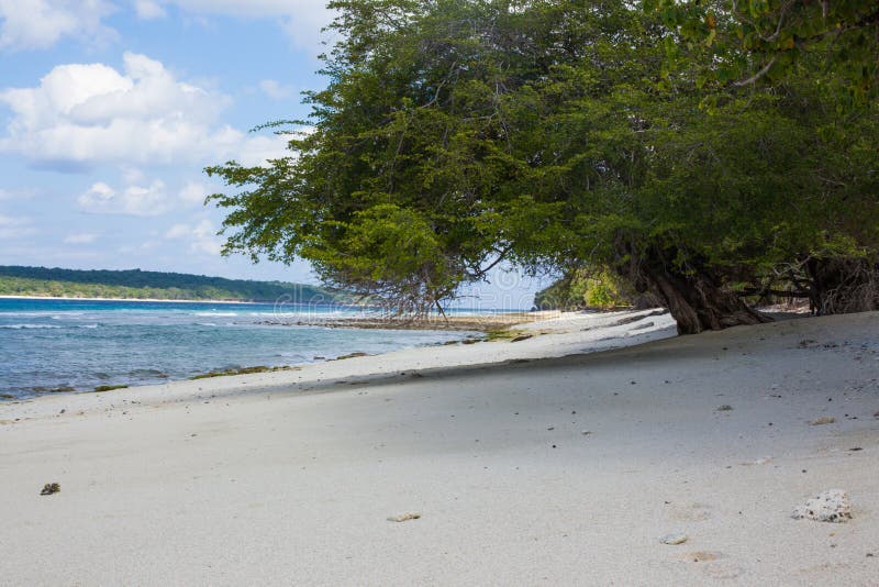 Praias Brancas Da Areia De Timor-Leste Foto de Stock - Imagem de barco ...