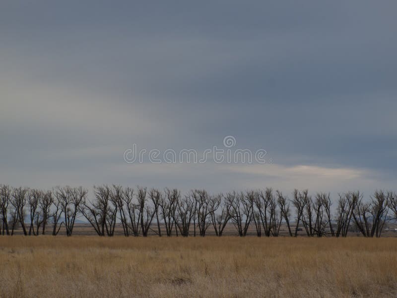 Prairie stock image. Image of blue, national, sunrise - 24085057