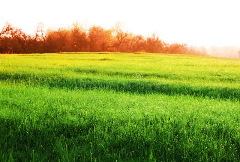 Prairie verte photo stock. Image du lame, horizon, pays - 2780004
