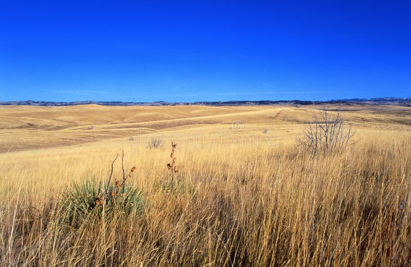 140,975 Prairie Landscape Stock Photos - Free & Royalty-Free Stock ...