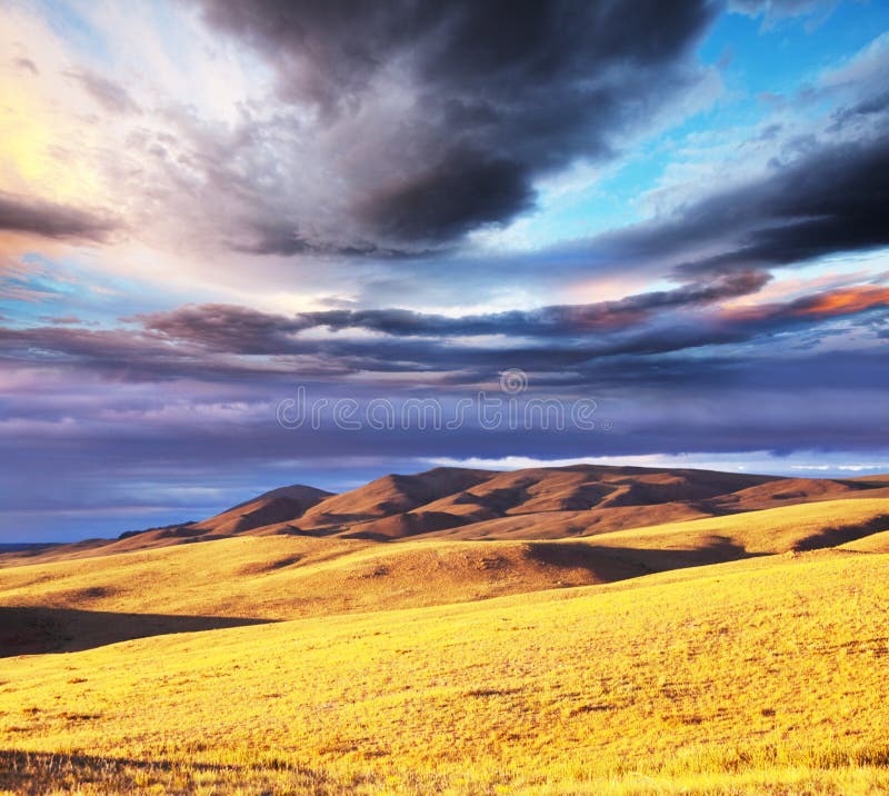 Prairie stock image. Image of environment, fresh, summer - 54184573