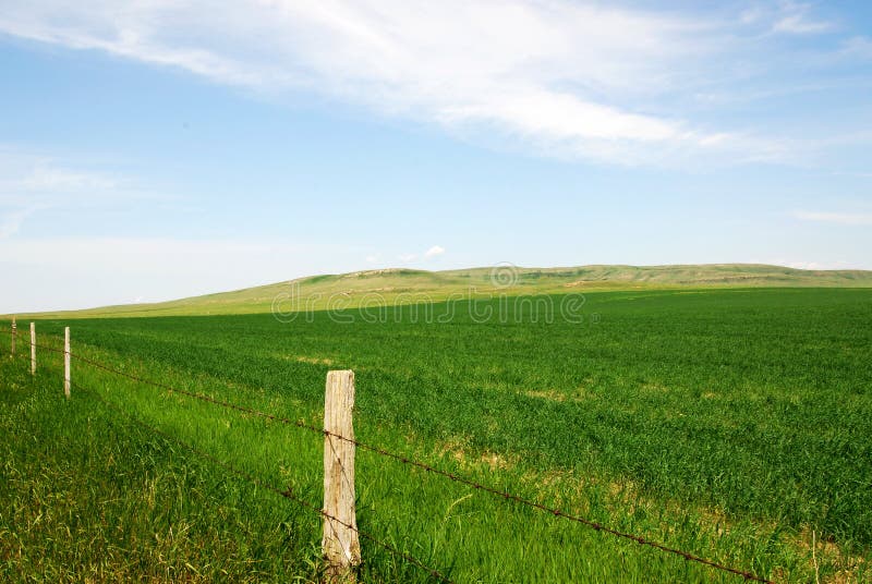 Prairie Fenceline South Dakota Stock Photo - Image of destination ...
