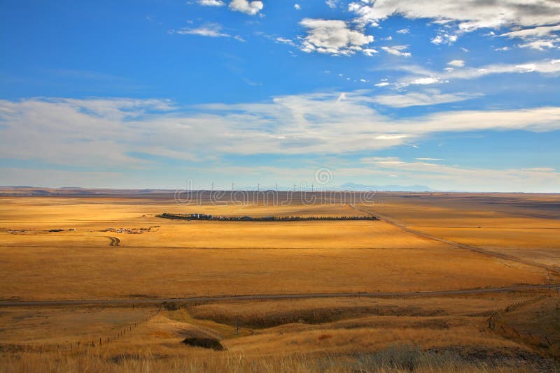 The prairie stock photo. Image of scene, cereal, stem - 186535158