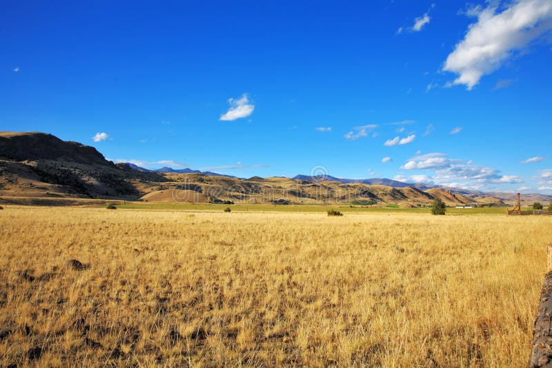 The prairie in autumn day stock image. Image of scenics - 13126337