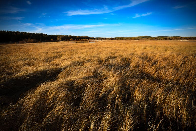 Prairie autumn scenery stock image. Image of grunge, light - 35288135