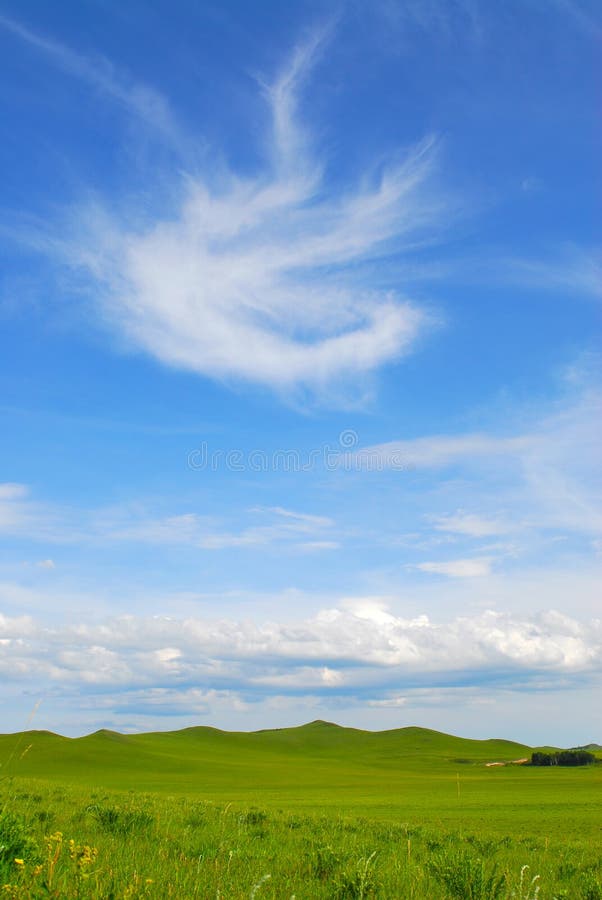 The prairie stock image. Image of nature, view, meadow - 34565639