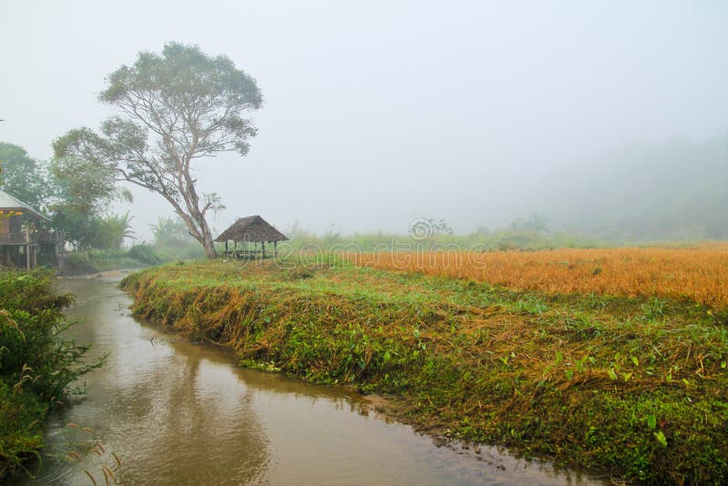 Prairie brook house, fog. stock image. Image of tourism - 24643377