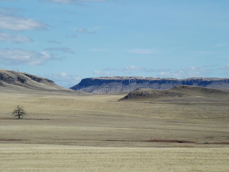 Prairie Buttes, Lone Tree stock photo. Image of journey - 48681950