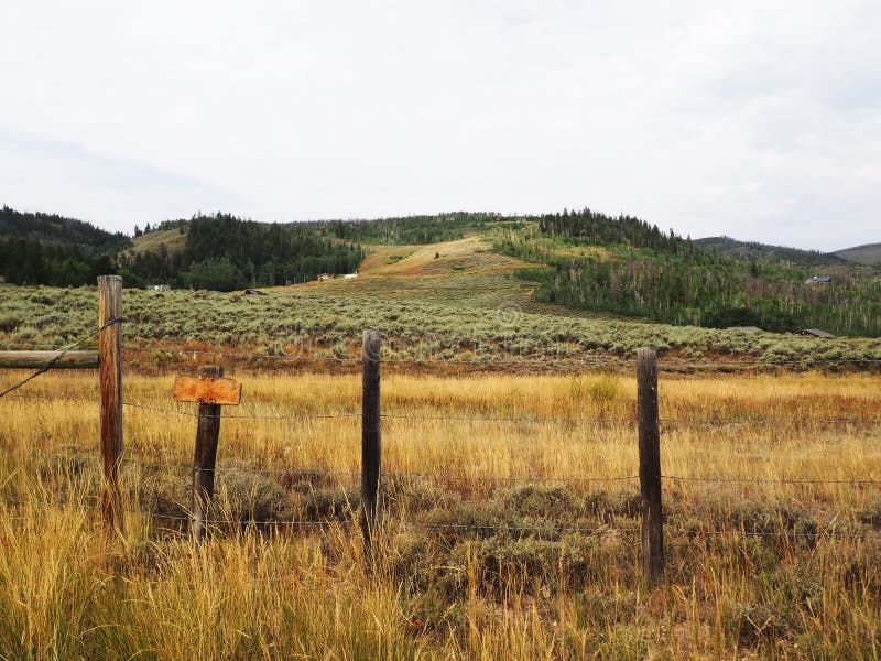 Rolling Prairie In Colorado Stock Image - Image of collins, open: 33402373
