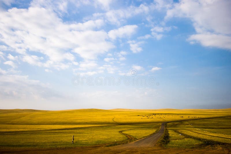 Prairie De L'Inner Mongolia Image stock - Image du horizon, pelouse ...