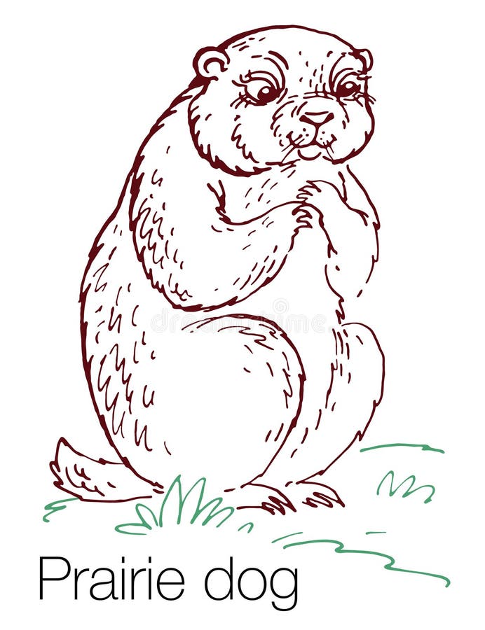 Prairie Dog Stock Illustrations – 457 Prairie Dog Stock Illustrations ...